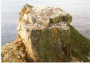 The Magic of Irish Stones